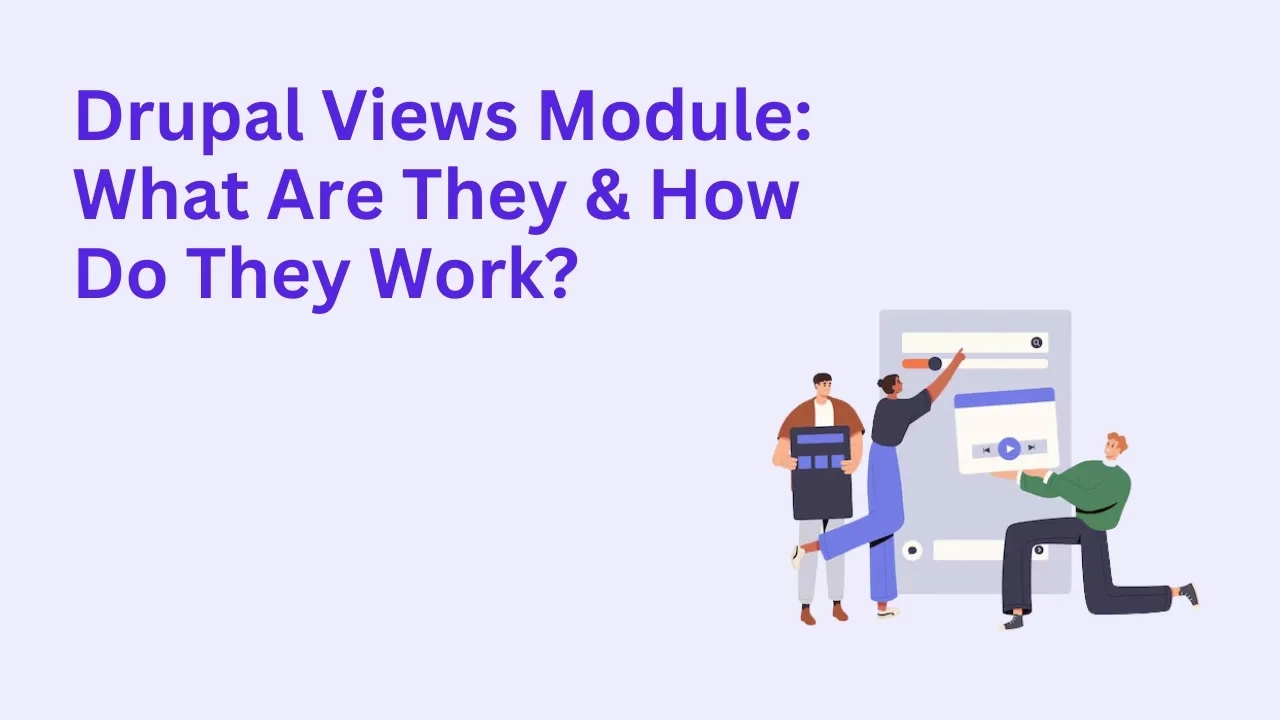 Drupal Views Module: What Are They & How Do They Work?